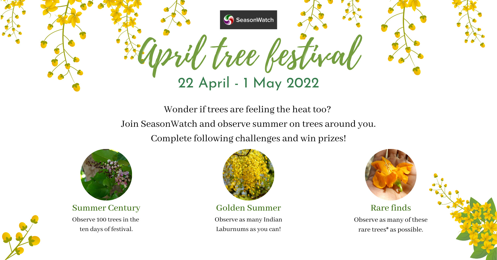 April Tree Festival 2022 - A report : SeasonWatch