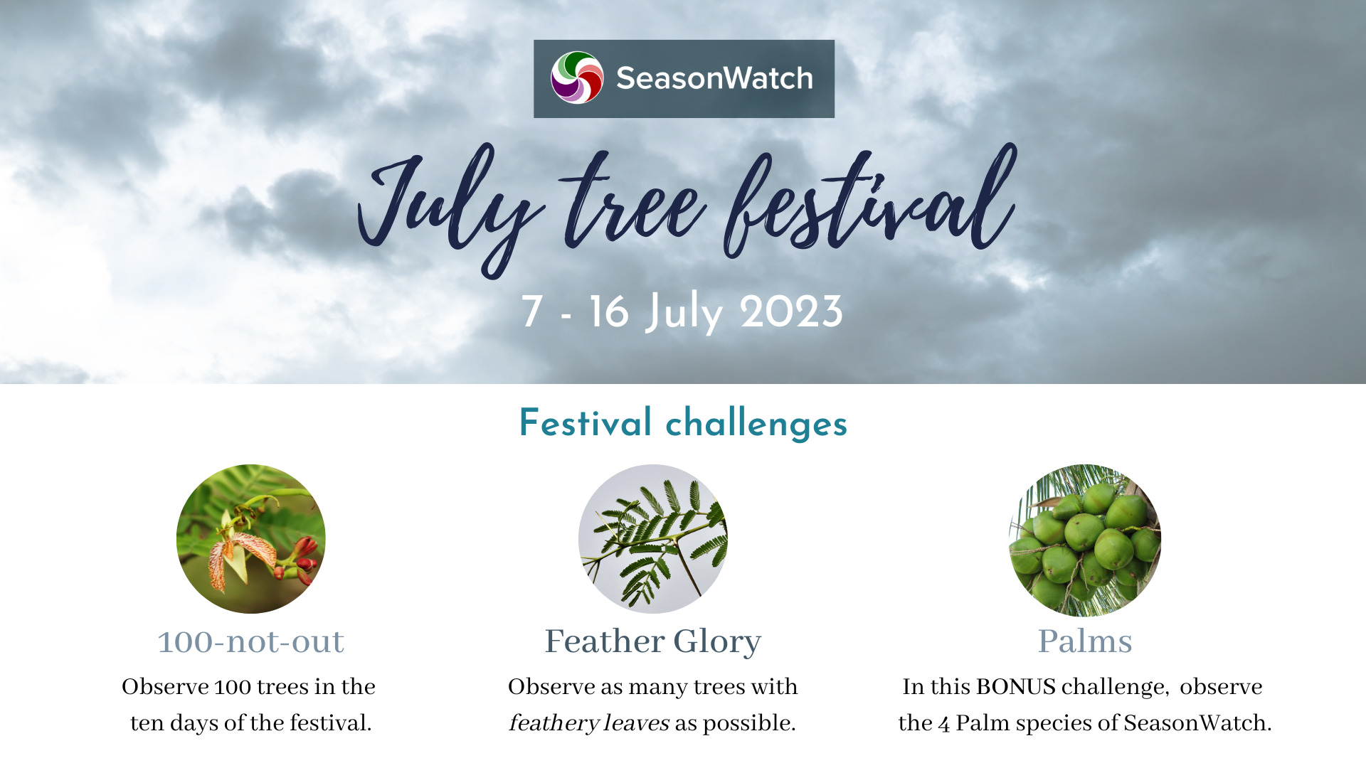 July Tree Festival 2023 - A Report : SeasonWatch