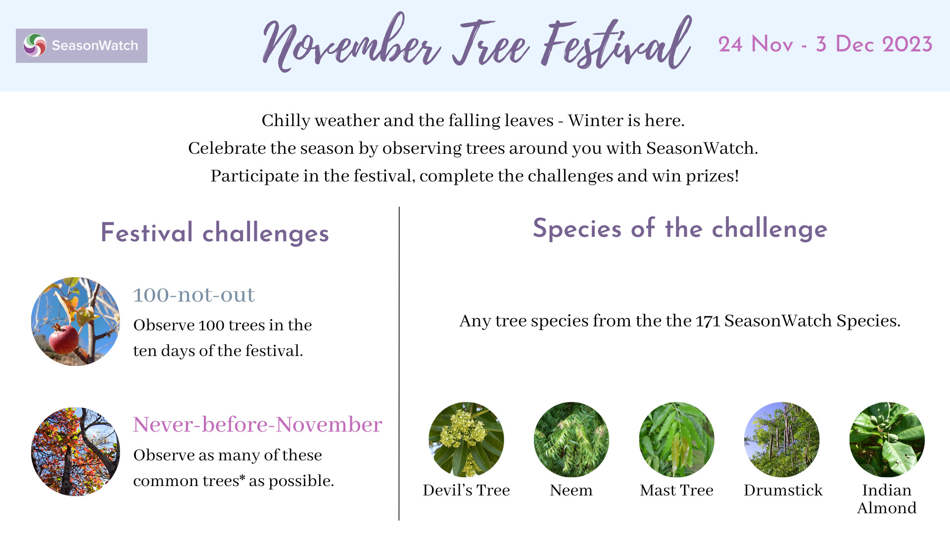 November Tree Festival 2023 - A Report : SeasonWatch