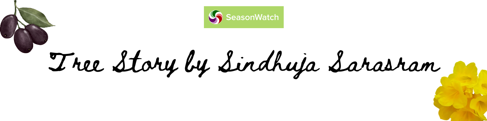 Homecoming : SeasonWatch