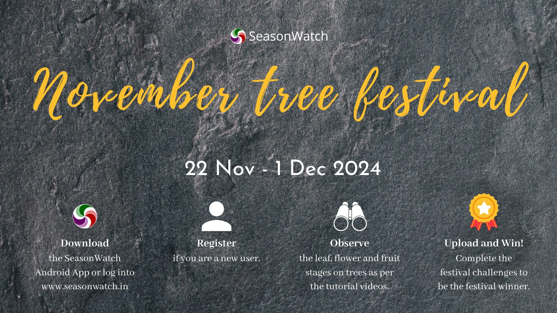 Tree-ding through Winter: ‘November Tree Festival 2024’ Report : SeasonWatch