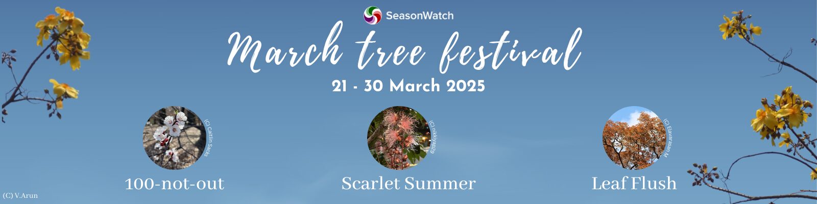 Spring-Summer on Trees of India: ‘March Tree Festival 2025’ Report ...